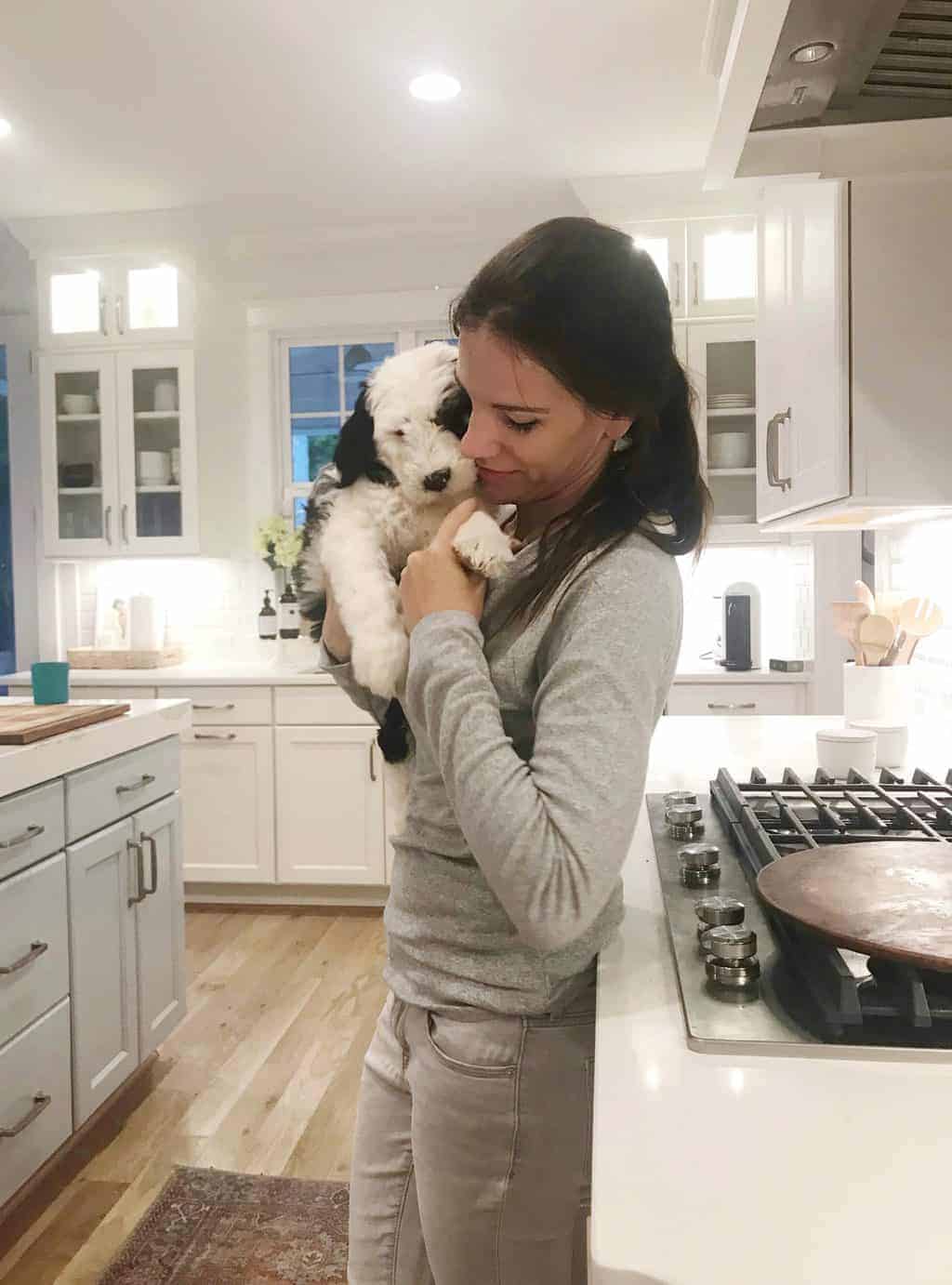 Our Giant Sheepadoodle: The Good, Bad & The Smelly | Chrissy Marie Blog